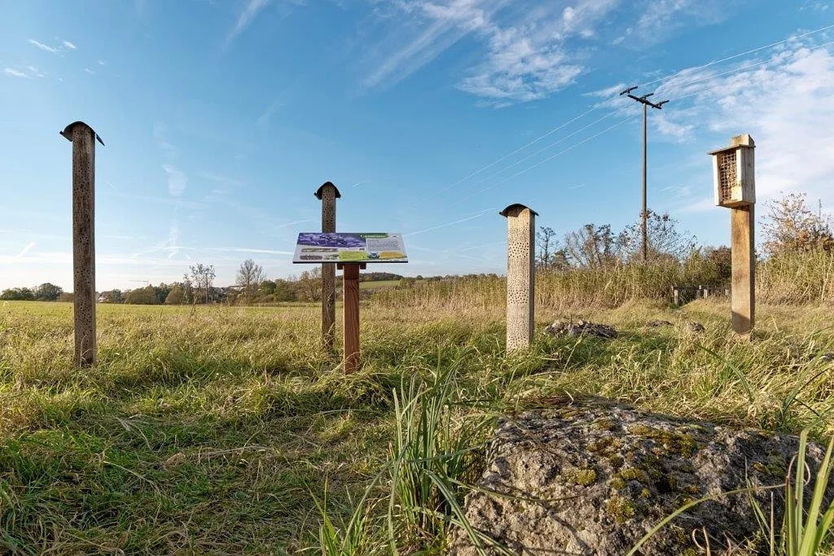Artenvielfalt Stegaurach - Bamberg Tourismus