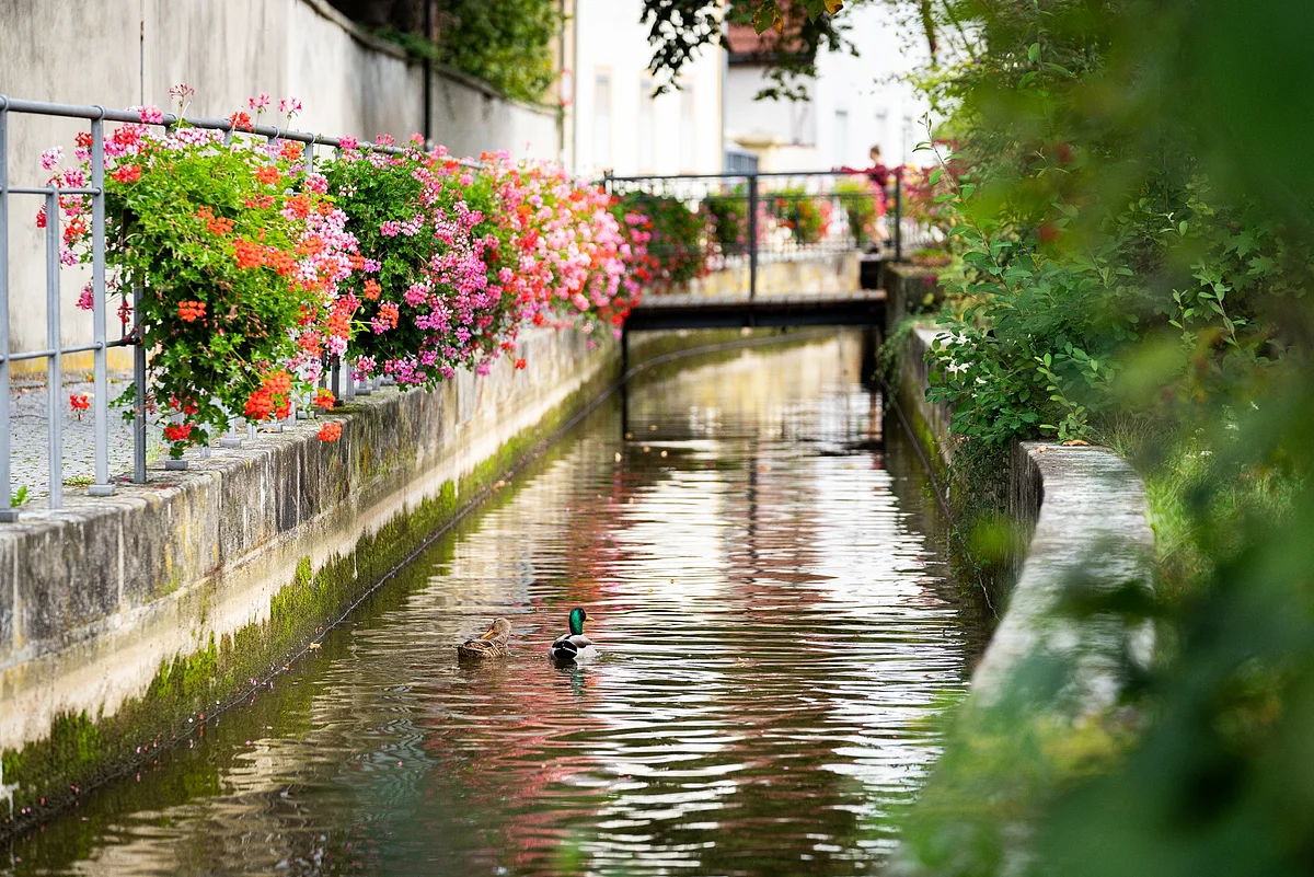Hallstadt - Bamberg Tourismus